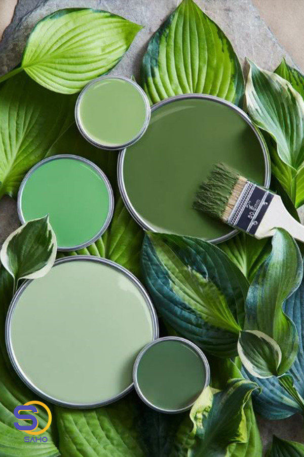 رنگ سبز سلطنتی – صاحو استایل